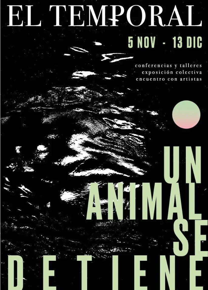 "Trataré de ser un animal lo más correcto posible", con Marta Mantecón ...