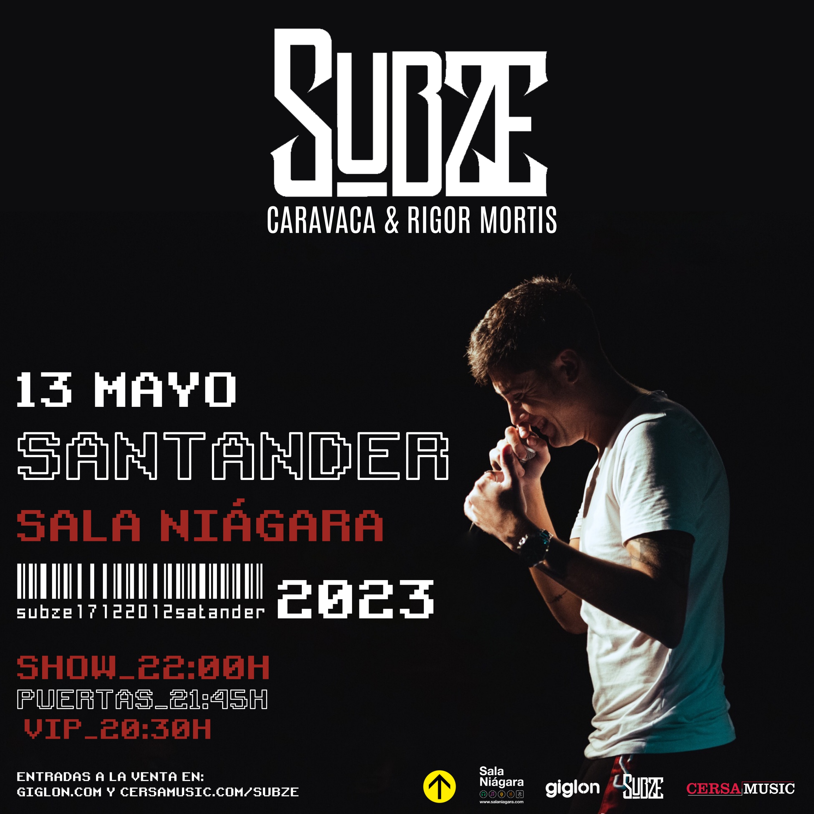 Subze en concierto - Santander Creativa