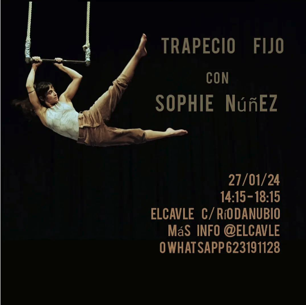 Taller intensivo de trapecio fijo - Santander Creativa