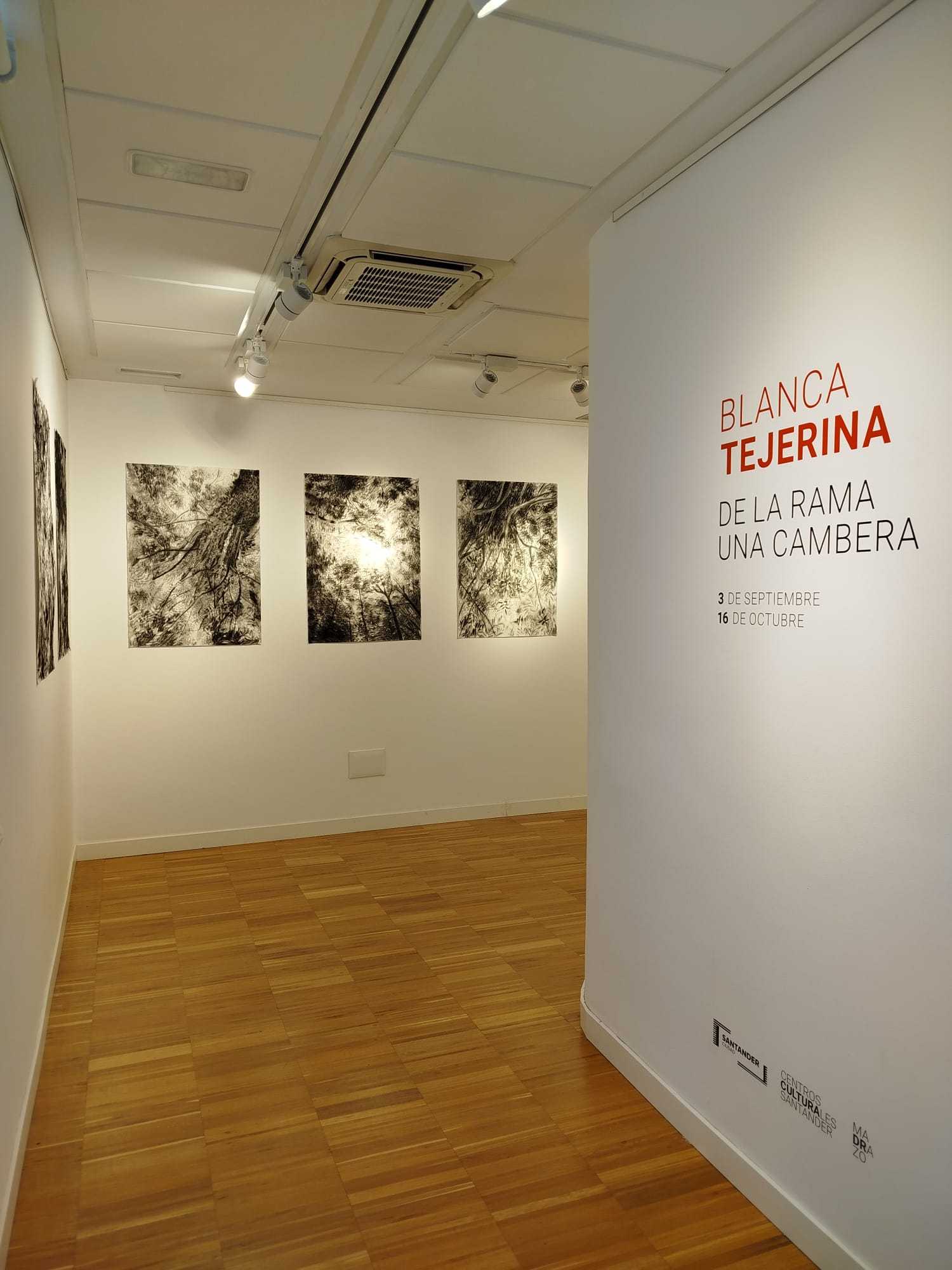 Visita guiada por Lidia Gil a la exposición “De la rama una cambera”, de Blanca Tejerina ...